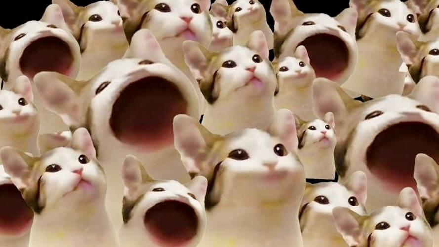 POPCAT Hits $1.26 After 25% Surge—Is a $5 Rally On the Horizon ...